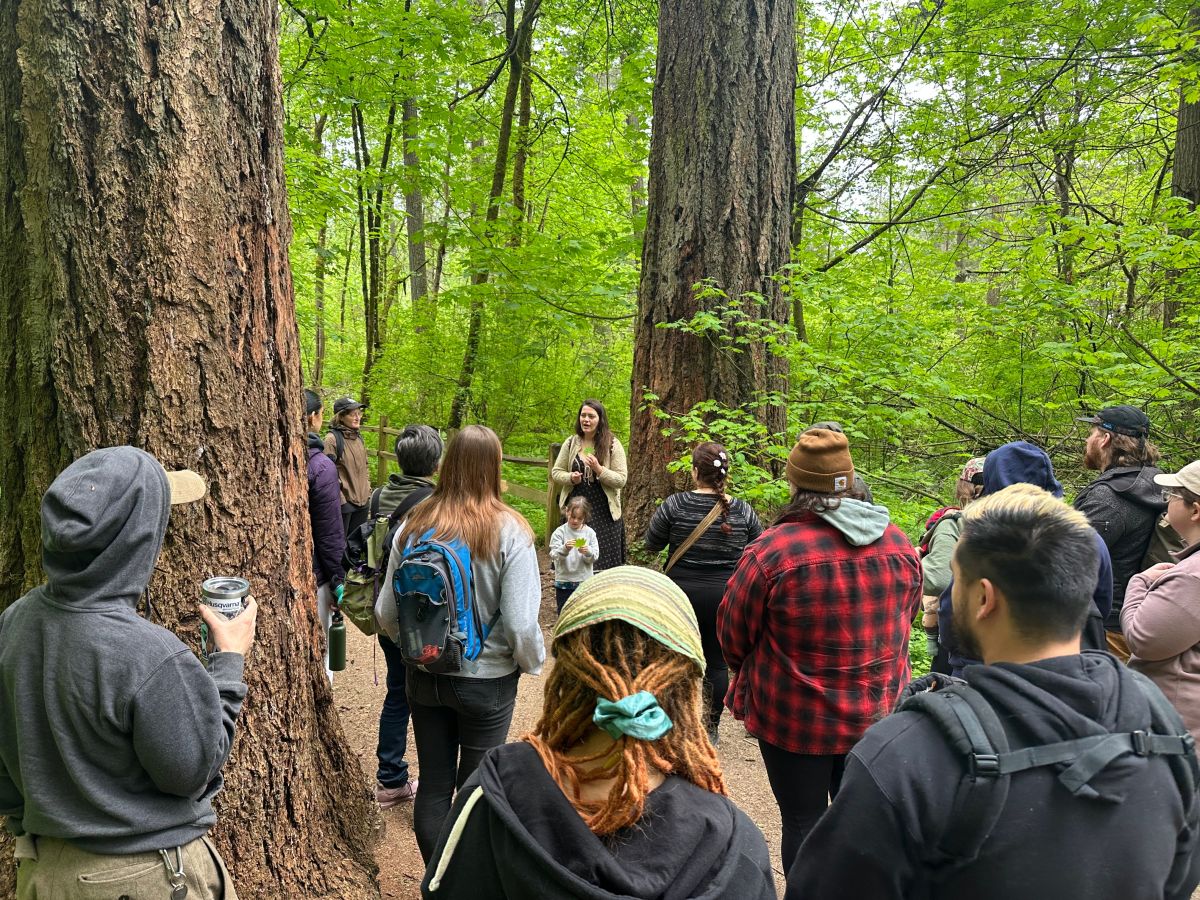 Plant Walk Registration - Wildwood Folk School